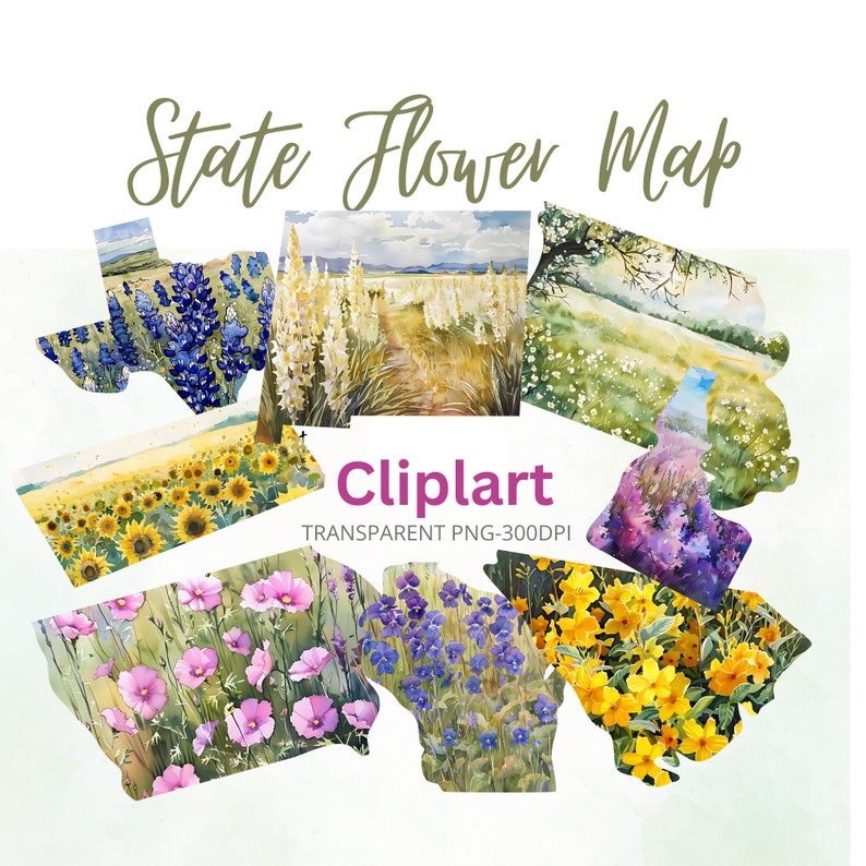 U.S. State Maps With State Flowers Clipart, State Flower Decorative Map ...
