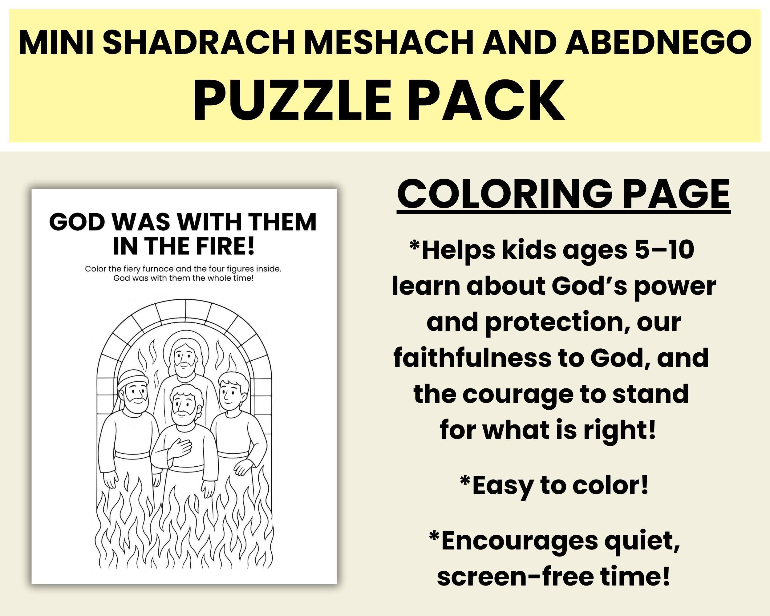 Shadrach Meshach and Abednego Puzzle Pack for Kids - Bible Activity ...