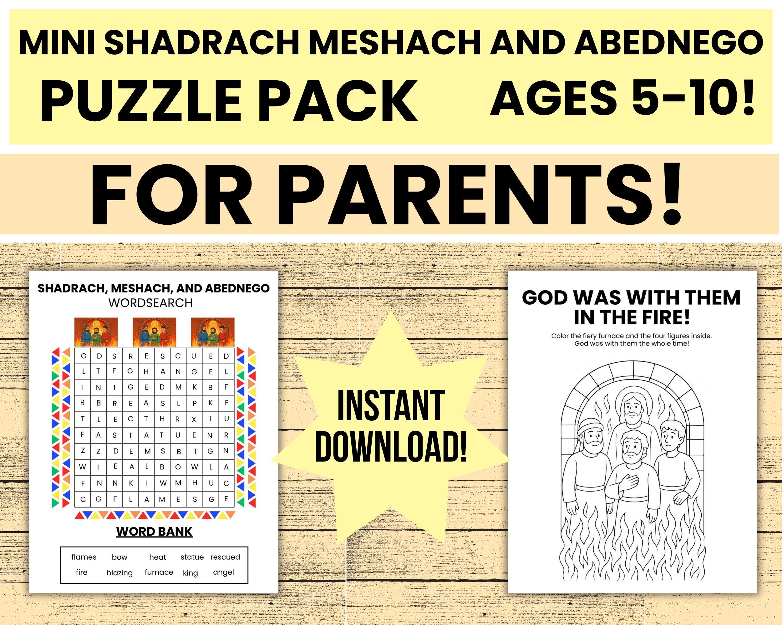 Shadrach Meshach and Abednego Puzzle Pack for Kids - Bible Activity ...