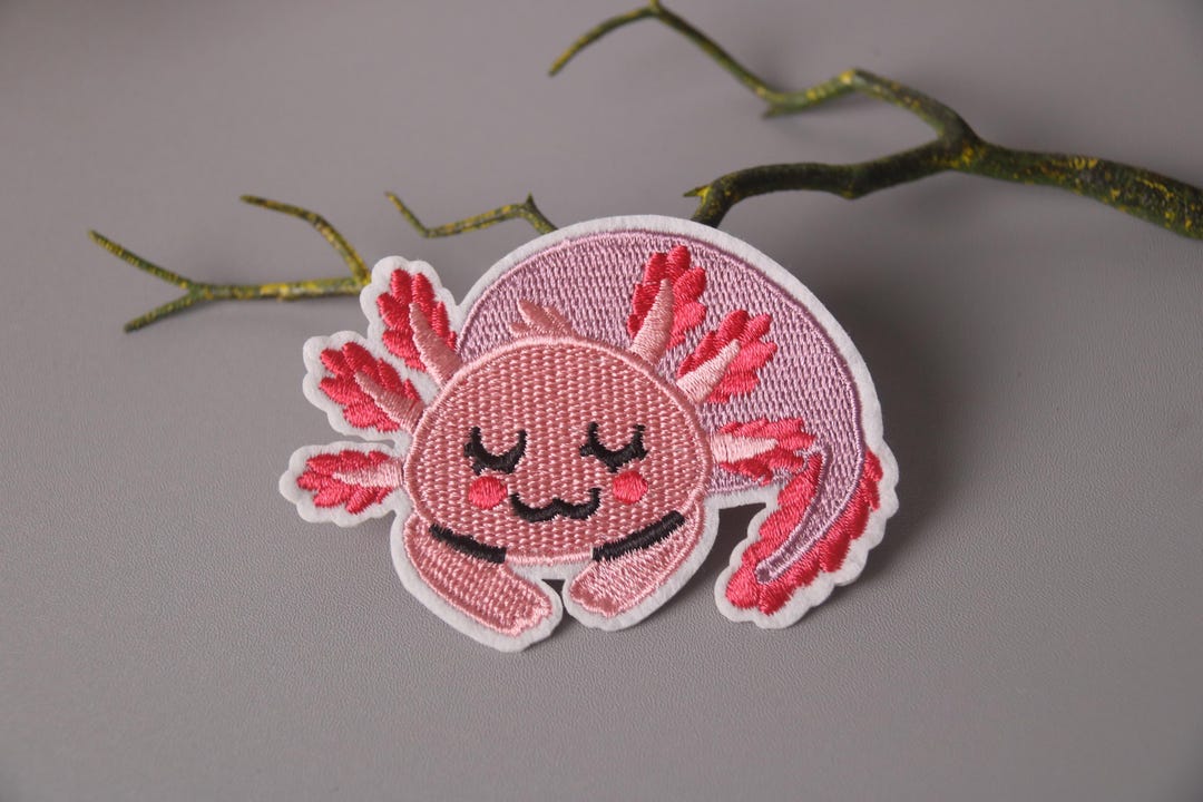 Cute Axolotl Patch, Iron on Patch, Stick on Patch, Embroidered Patch ...