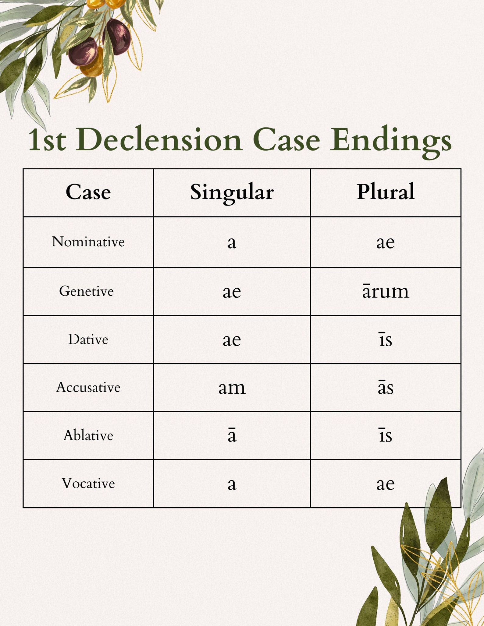 Latin Declension Chart: 1st Declension Latin Endings, Latin Grammar ...