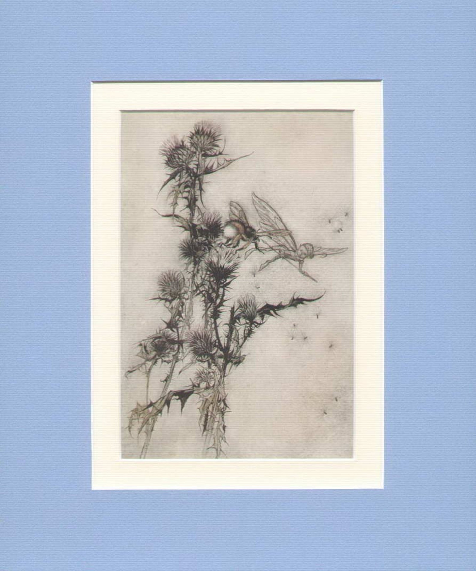 Spirit Seer Tarot and Rune Reading - Etsy