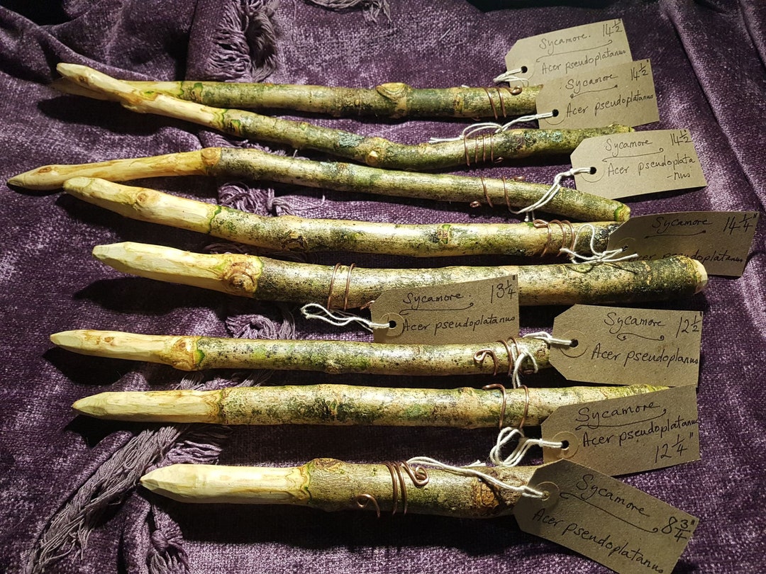 Celtic Sycamore Wand - Etsy