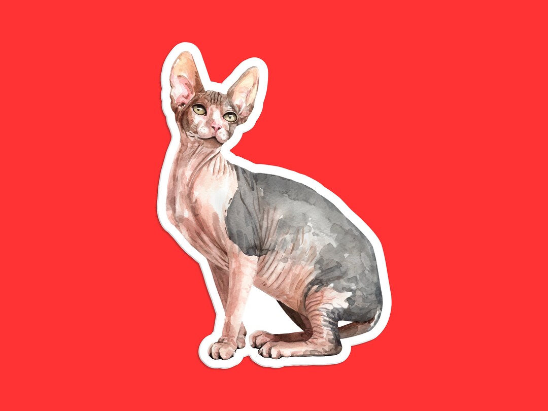Sphynx Cat Sticker: Weather-resistant Hairless Cat Decal - Etsy