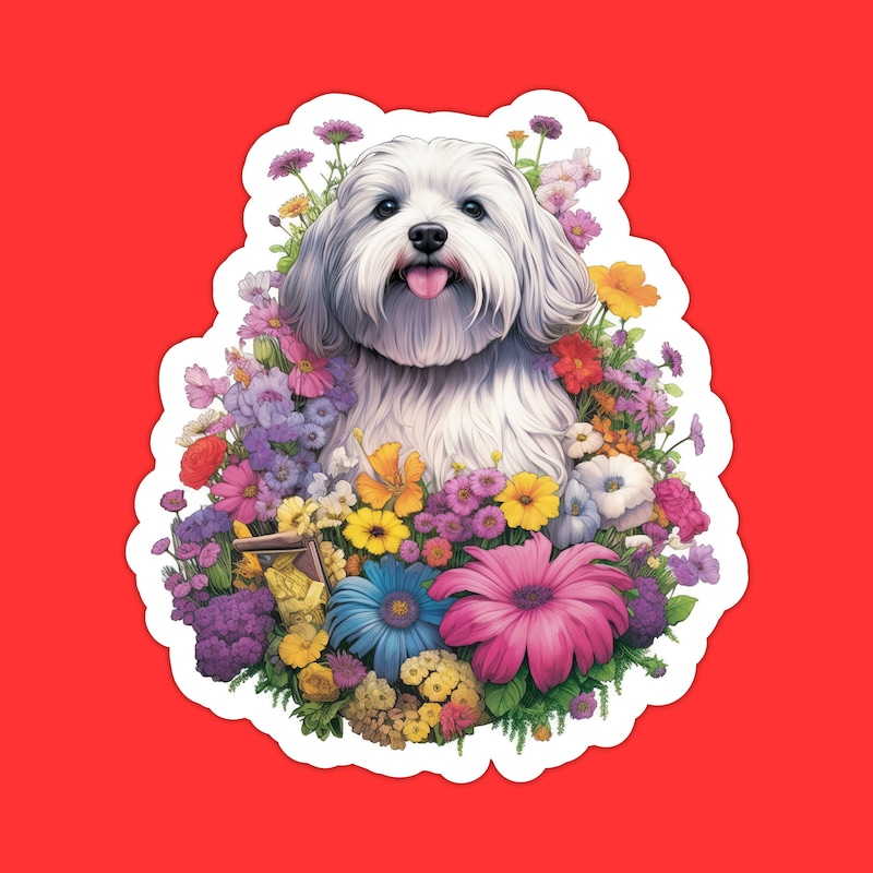Havanese Stickers - Etsy