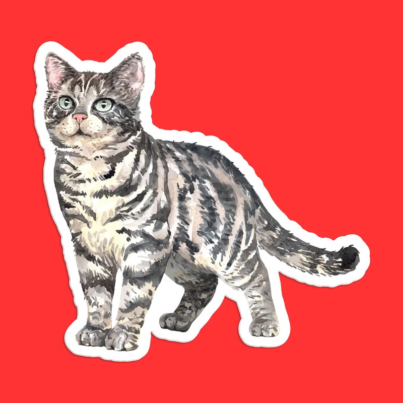 Realistic Cat - Etsy