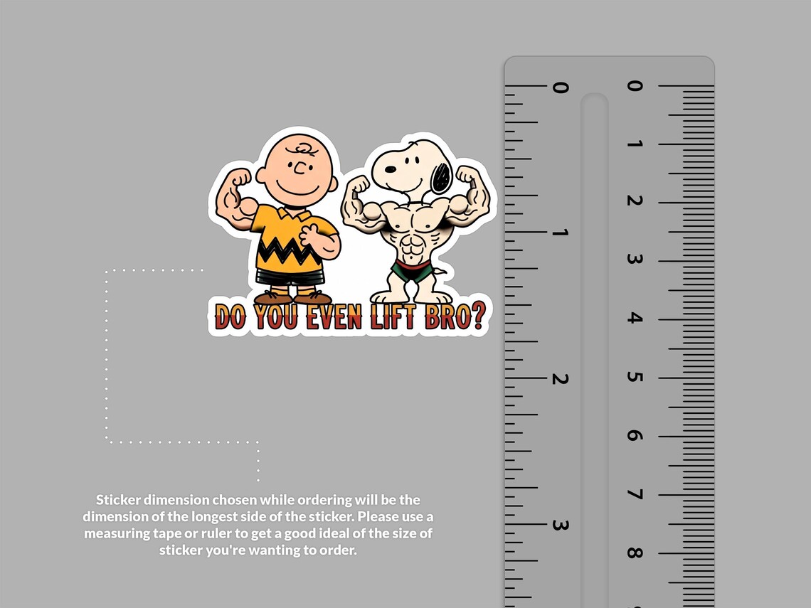 Do You Even Lift Bro Sticker | Funny Gym Humor Vinyl Decal ...