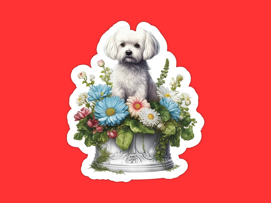 Maltese Dog Floral Sticker, White Maltese With Blue Daisies, Pink ...