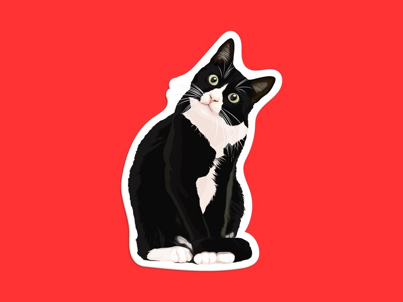 Curious Tuxedo Cat Sticker, Adorable Feline Decal, Cute Cat Art, Pet ...