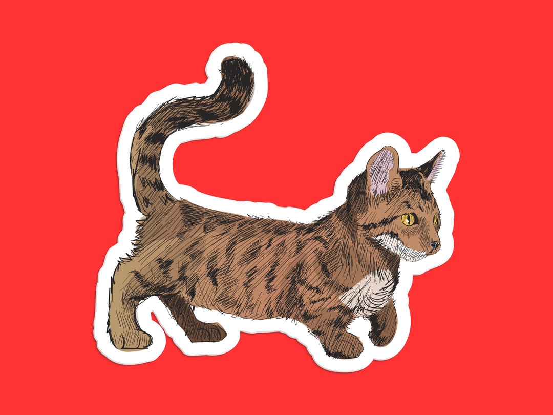 Munchkin Cat Sticker, Short-legged Cat Decal, Playful Munchkin Cat ...
