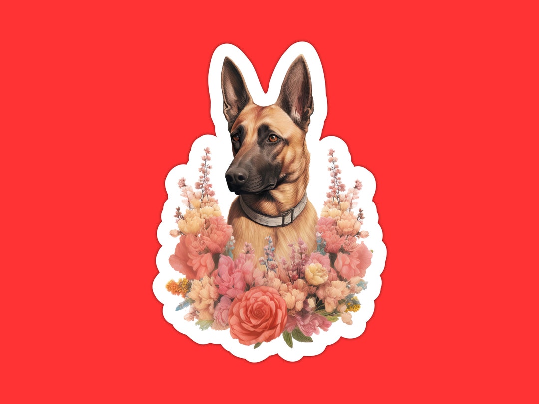 Belgian Malinois Dog Sticker - Etsy