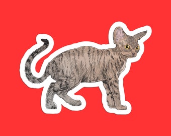 Devon Rex Cat Decal - Etsy