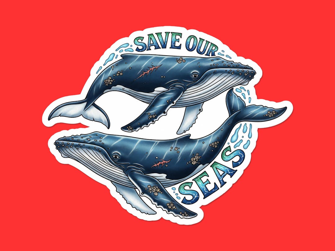 Save Our Seas Whale Sticker | Ocean Conservation Vinyl Decal | Marine ...