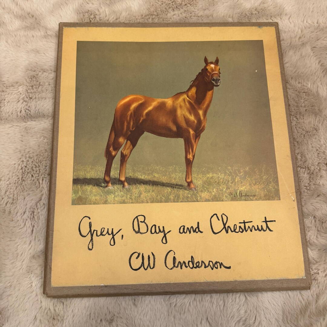 Vintage 1955 C.W. Anderson Horse Print Portfolio - Gray, Bay, and ...