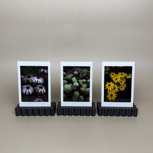 Instax Mini Polaroid Photo Stand Set of 3, Modern Fujifilm Instant Film ...