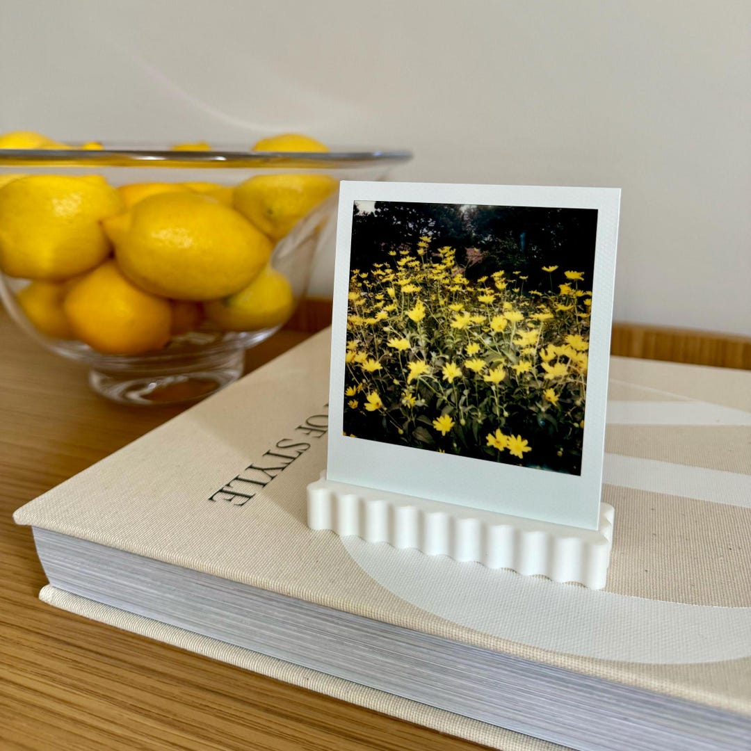 Fujifilm Instax Mini and Polaroid Photo Stand, Modern Instax Film ...