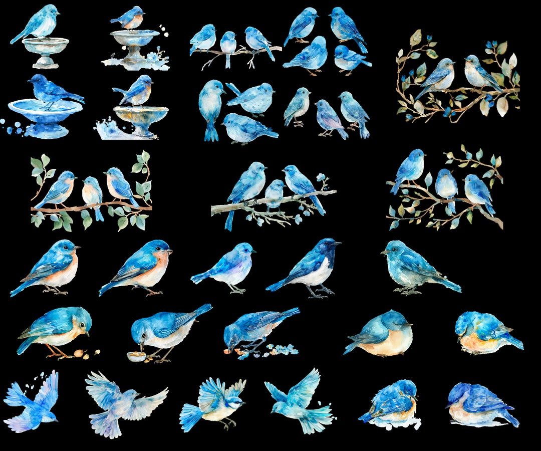 Ethereal Blue Birds Water Color Design - Etsy Canada