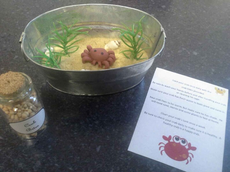 18 Inch Doll Crab Pet Set, Crab, Care Sheet, Food, - Etsy