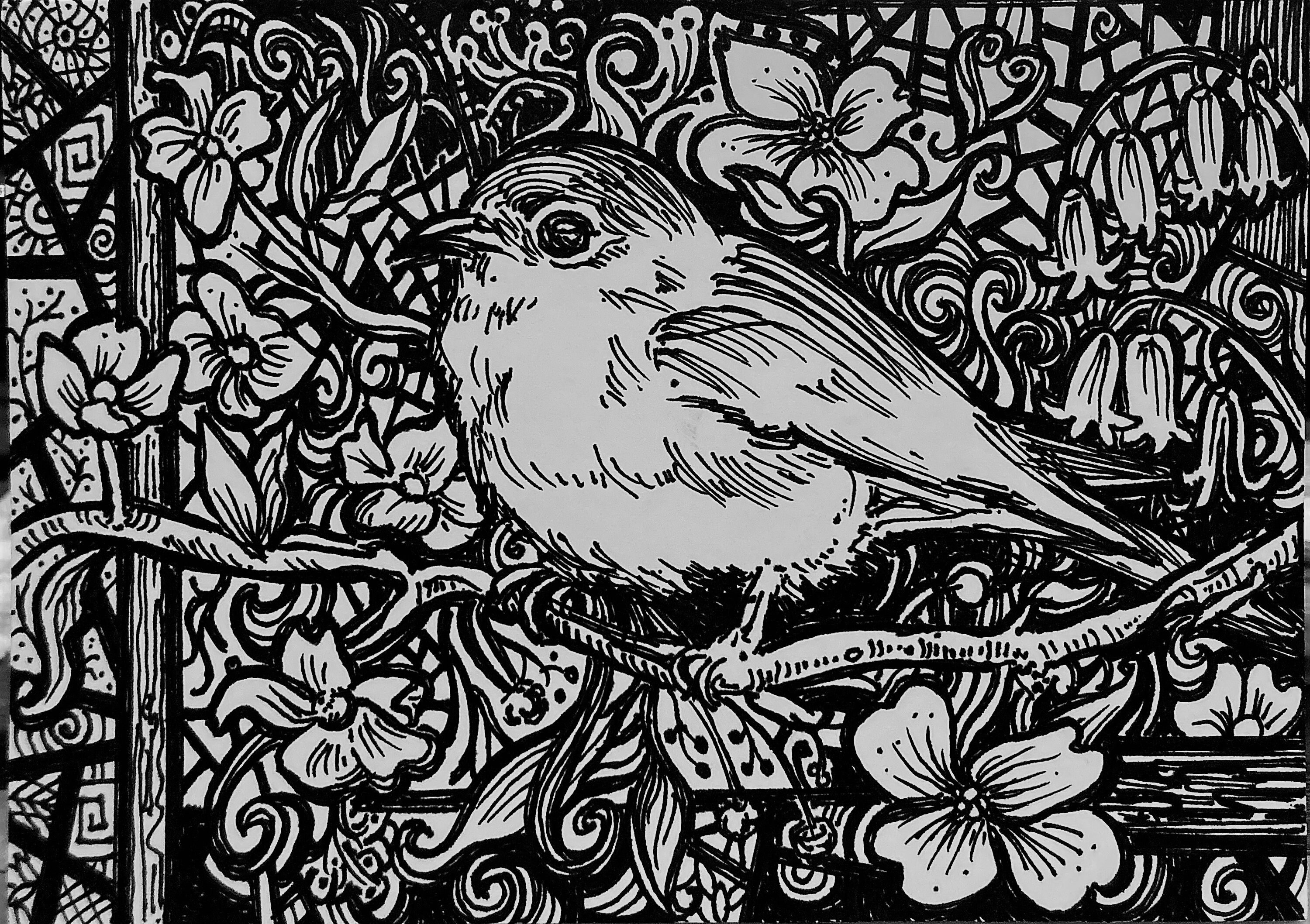 Original Pen and Ink Blue Bird Original Drawing by Leah - Etsy