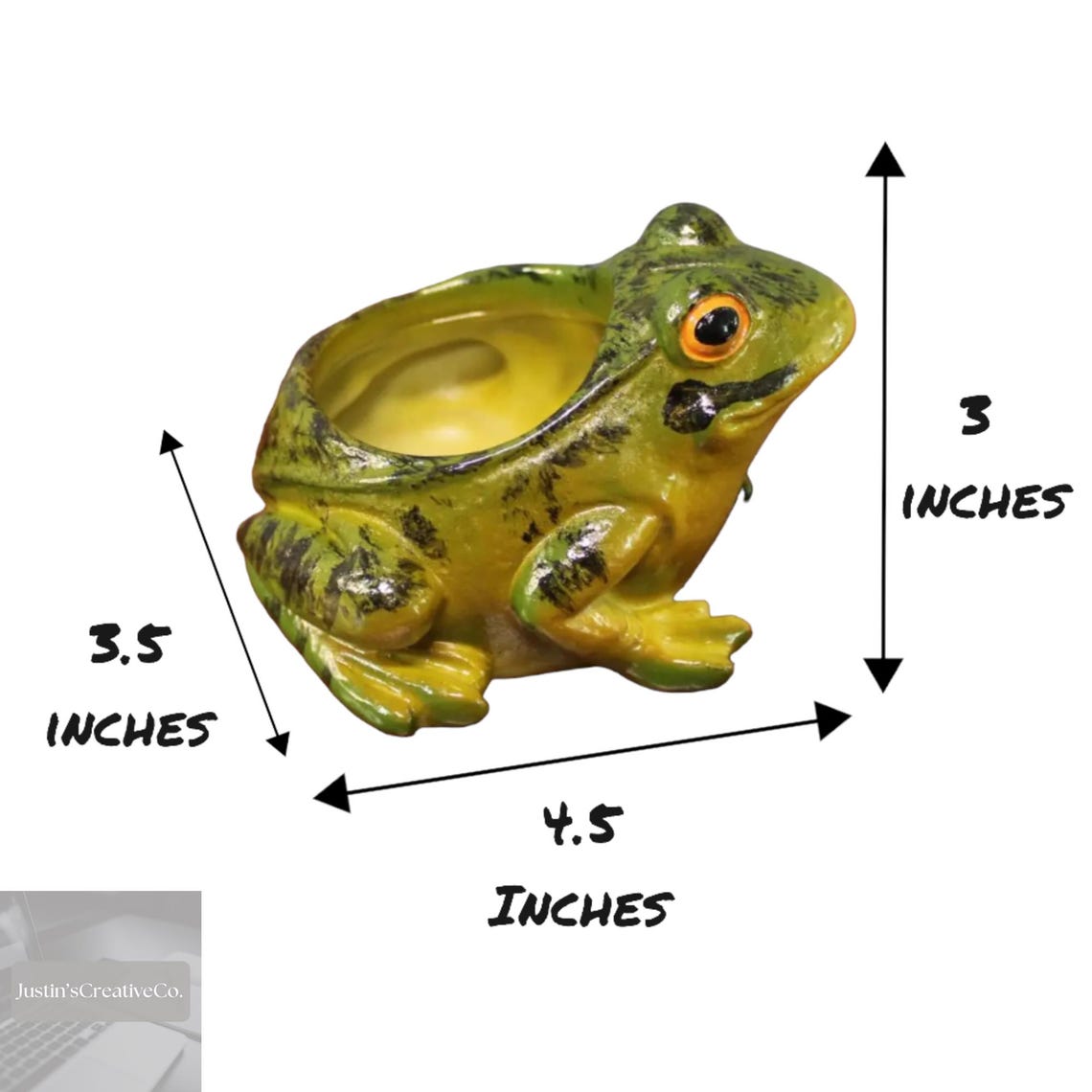 Leopard Frog Succulent Planter Unique Succulent Planter Frog Lover ...