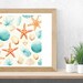 15 PNG Pictures of Shells and Starfish in Summer Theme for Digital ...