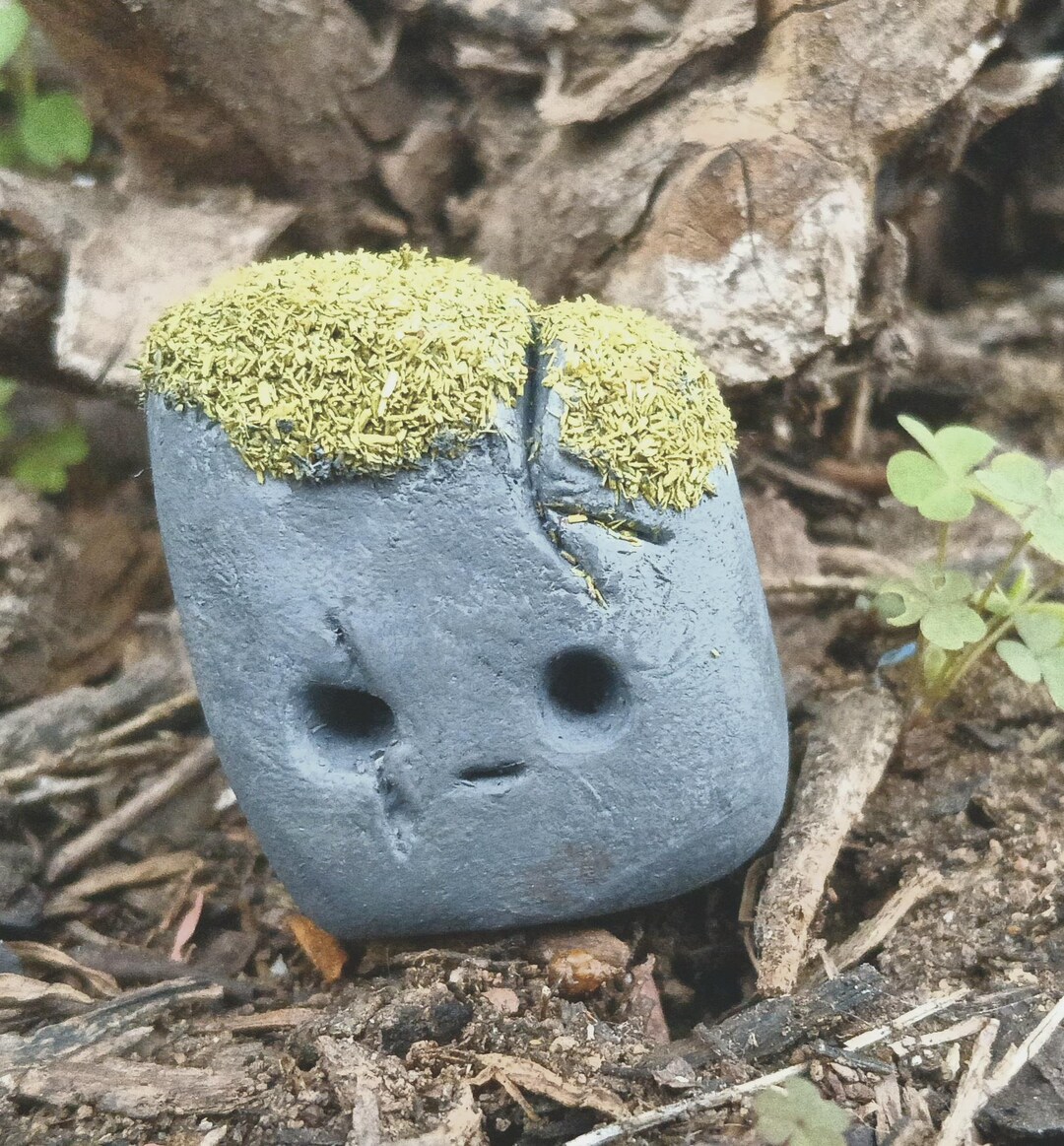Mini Rock Buddy | Hand-sculpted Foam Clay Figure | Cute Pet Rock | Desk ...