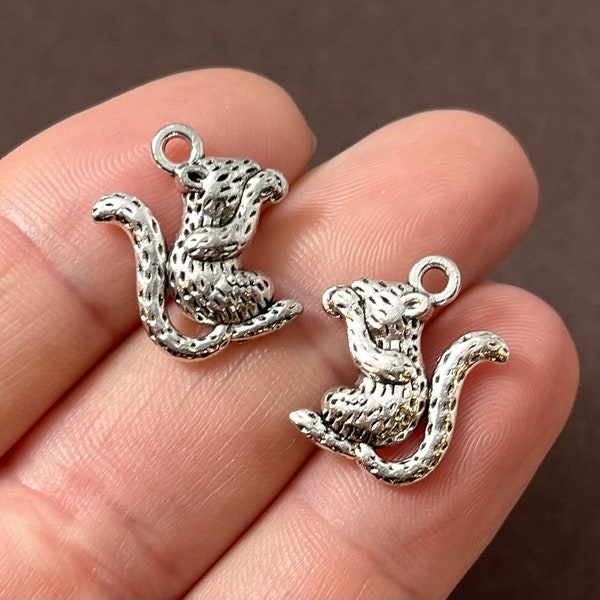 Squirrel Charms - Etsy