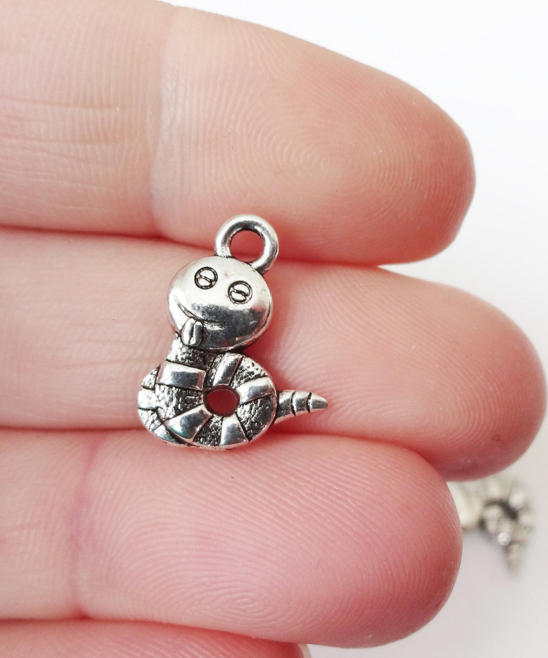 10 Charms, Book Worm, Bookworm, Snake, Charm (double Sided, Puffed ...
