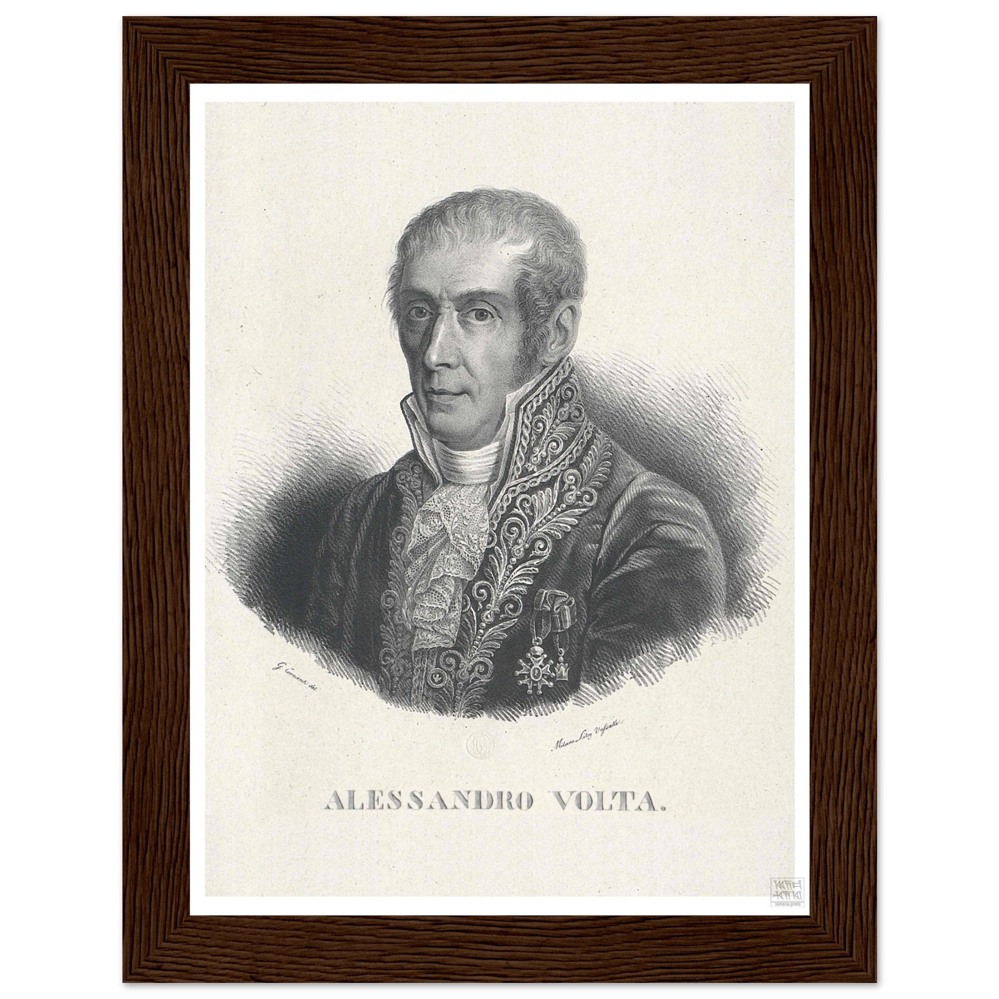Alessandro Volta 1850-1950 Vintage Style Premium Matte Paper Wooden ...