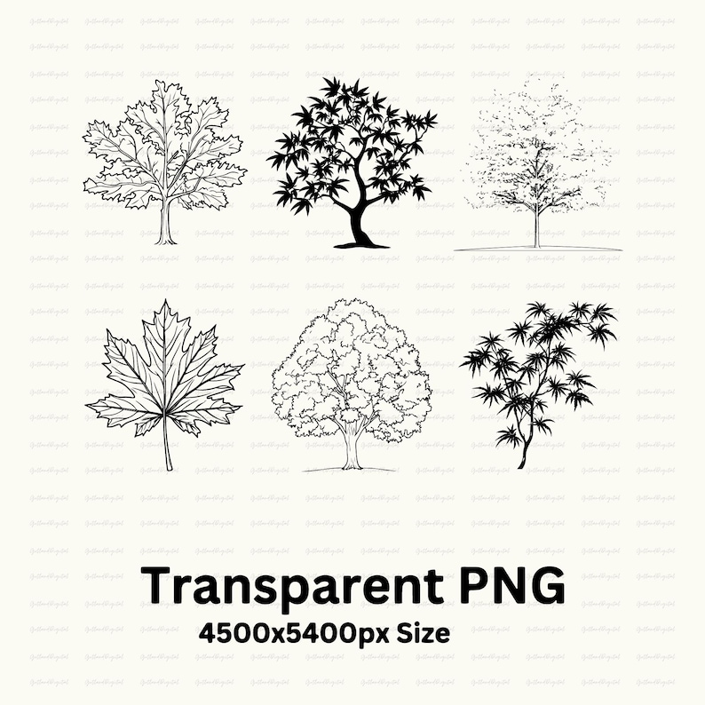 Maple Tree Silhouette: SVG PNG Clipart Vector Cut File - Etsy
