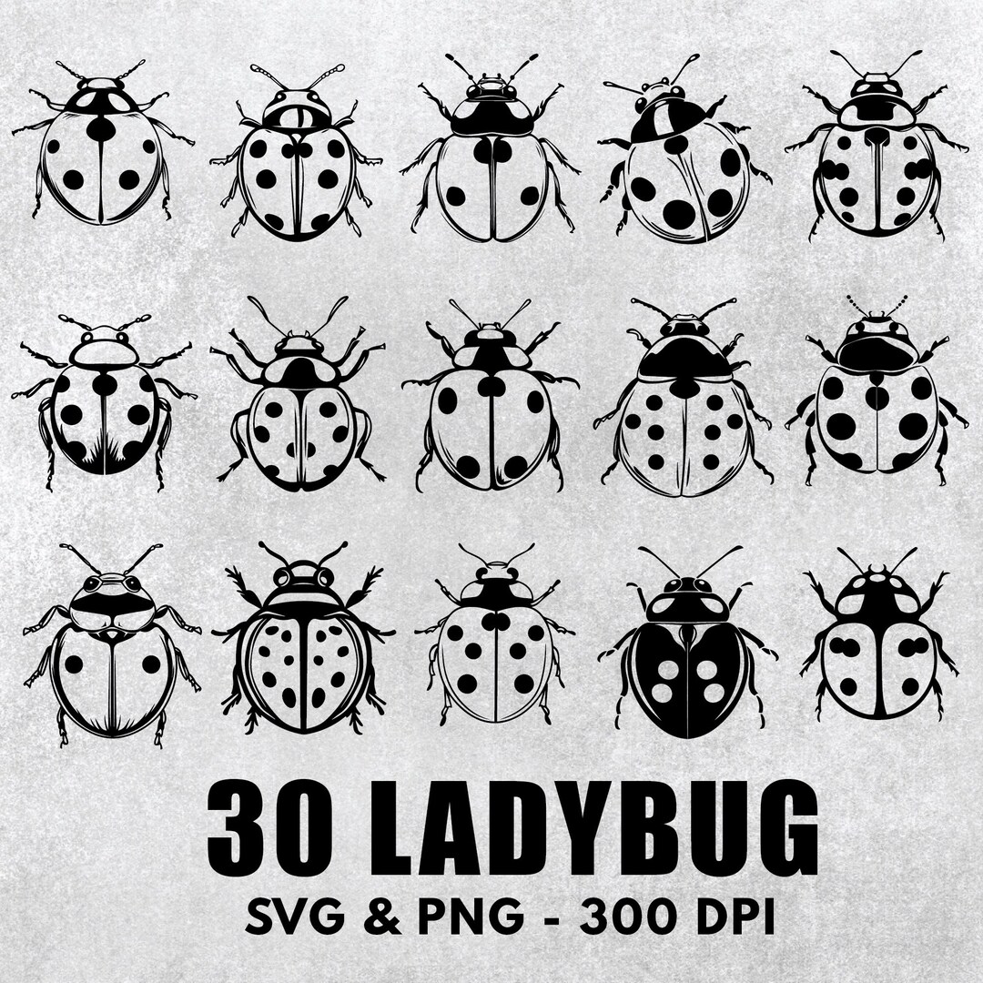 Ladybug Svg Png Bundle, Ladybug Silhouette, Ladybug Clipart, Ladybug ...