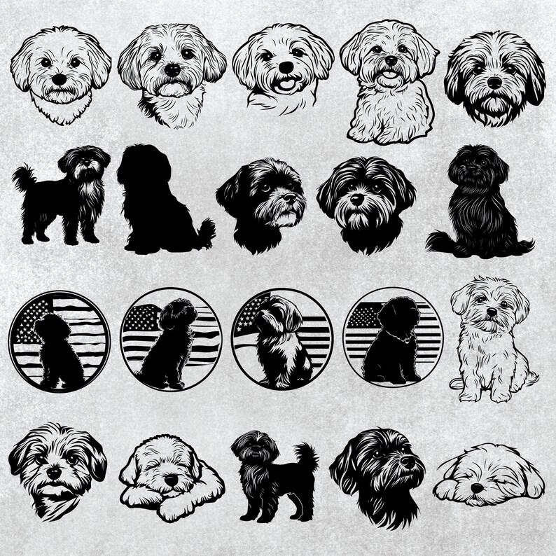 Shichon SVG Bundle: Dog Clipart, Silhouette Vector (PNG) - Etsy