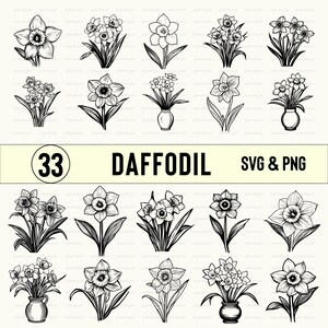 Daffodil SVG PNG Bundle: Floral Clipart, Silhouette Vector (digital ...