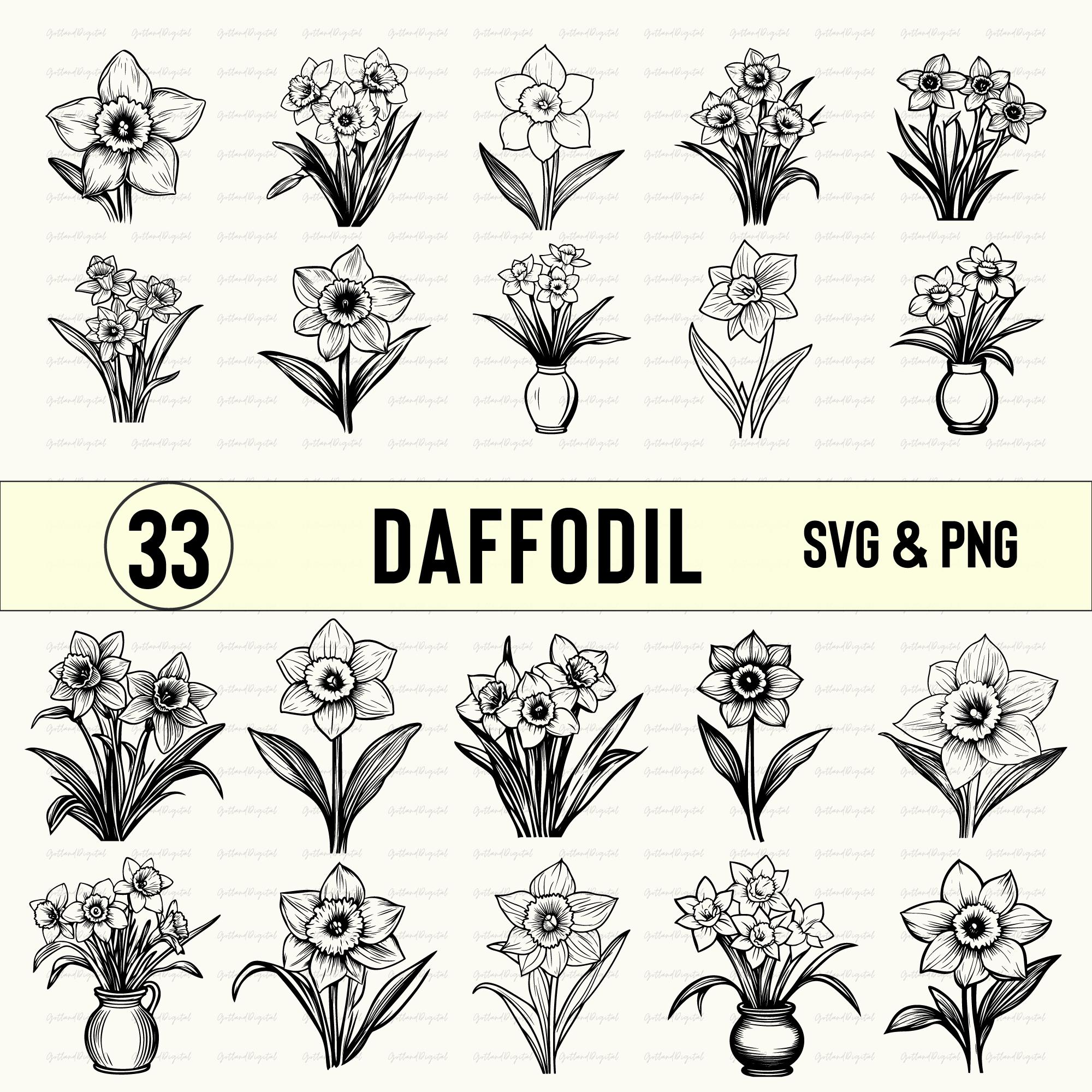 Daffodil SVG PNG Bundle: Floral Clipart, Silhouette Vector (digital ...