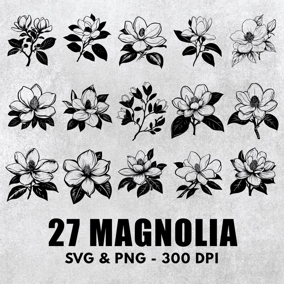 Magnolia Svg Bundle, Magnolia Vector Set, Magnolia Clipart, Magnolia ...