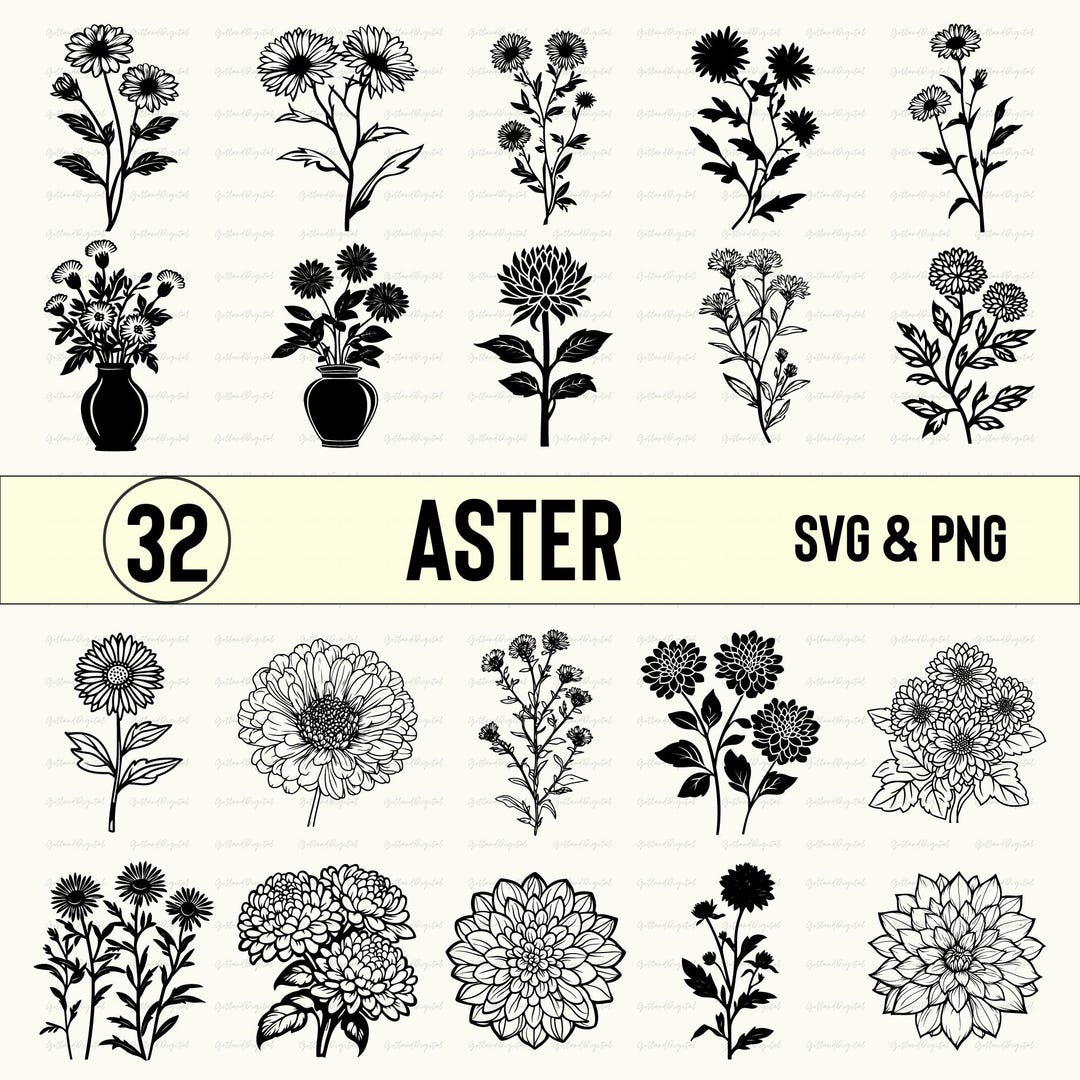 Aster Svg Png, Aster Clipart, Aster Silhouette, Aster Vector, Aster Cut ...