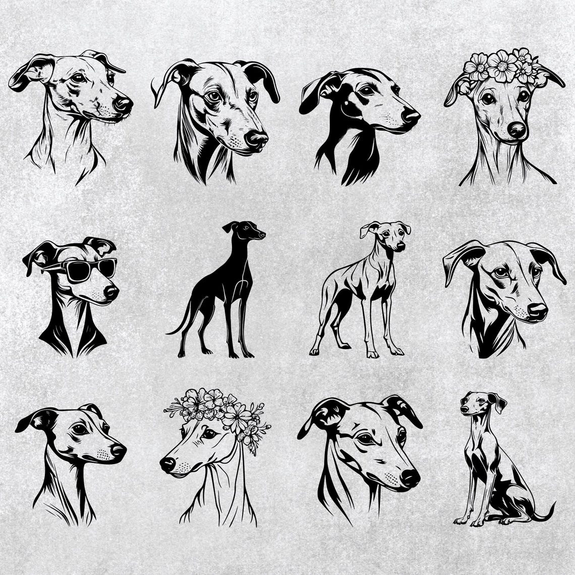 Whippet Svg Bundle, Whippet Silhouette, Whippet Clipart, Whippet Vector ...