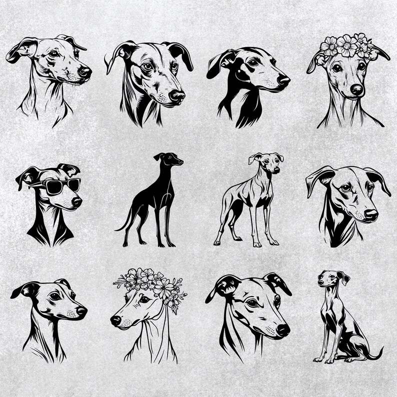 Whippet Silhouette SVG Bundle: Dog Clipart, Decal, Logo (PNG) - Etsy