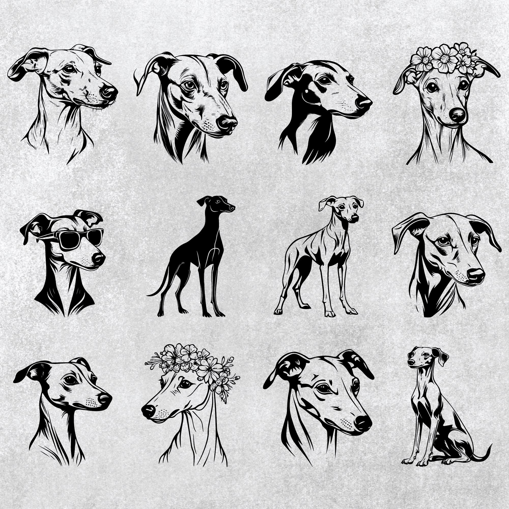 Whippet Svg Bundle, Whippet Silhouette, Whippet Clipart, Whippet Vector ...