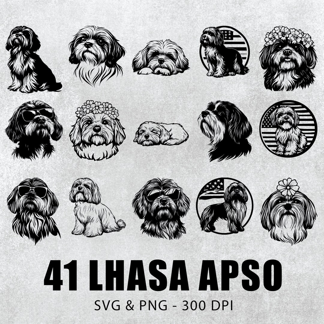 Ihasa Apso Svg Bundle, Ihasa Apso Silhouette, Ihasa Apso Clipart, Ihasa ...