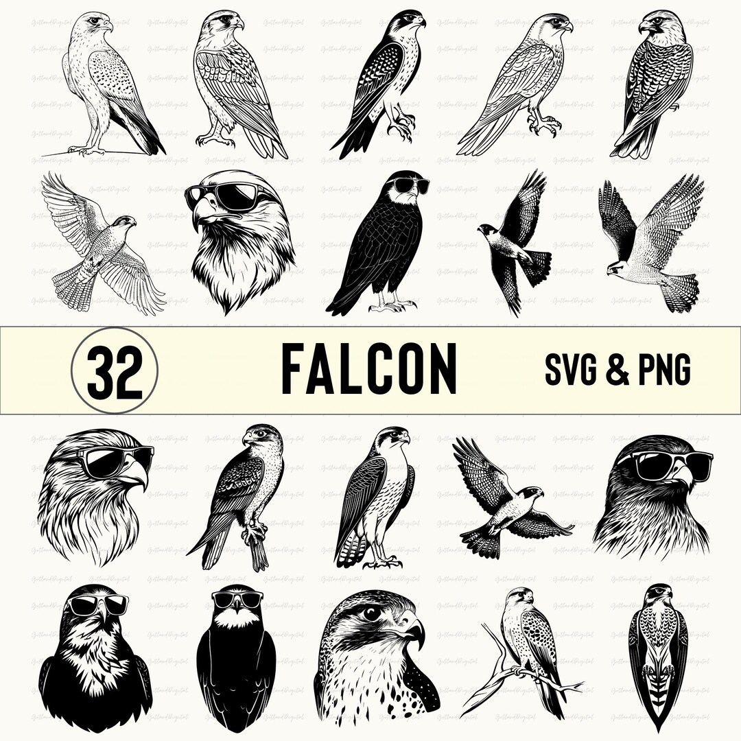 Falcon Svg Bundle, Falcon Silhouette, Falcon Clipart, Falcon Vector ...