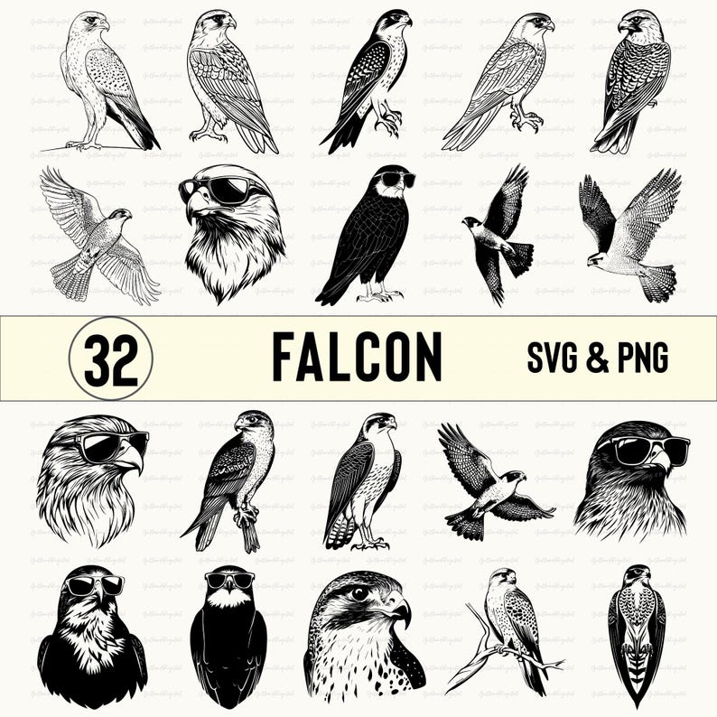 Falcon Svg Bundle, Falcon Silhouette, Falcon Clipart, Falcon Vector ...