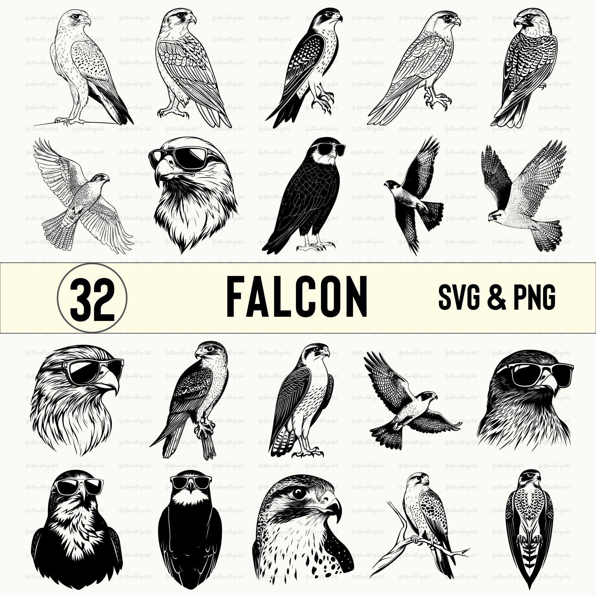 Falcon Svg Bundle, Falcon Silhouette, Falcon Clipart, Falcon Vector ...