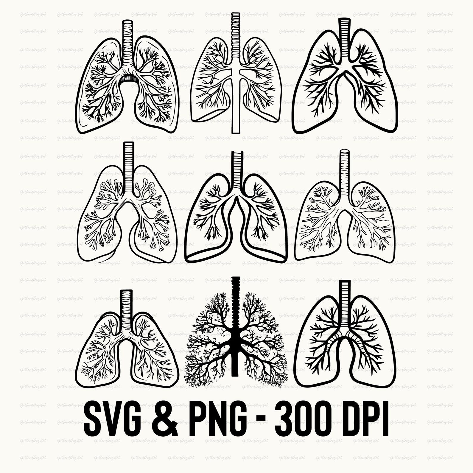 Human Lung Svg Bundle, Human Lung Silhouette, Human Lung Clipart, Human ...