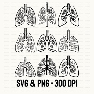Human Lung SVG Bundle: Silhouette Clipart Vector Decal (PNG, Cricut) - Etsy