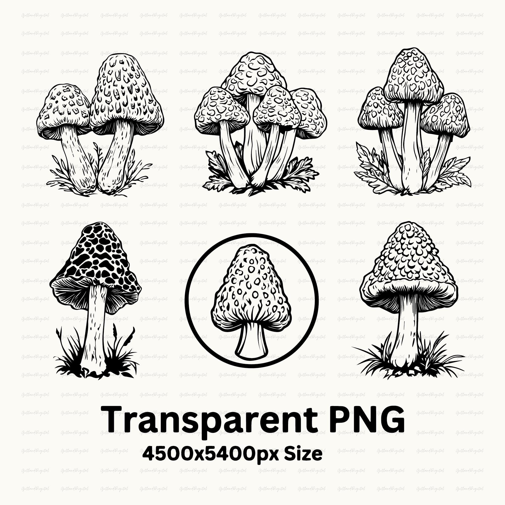 Morel Mushroom Svg Png, Morel Mushroom Clipart, Morel Mushroom ...
