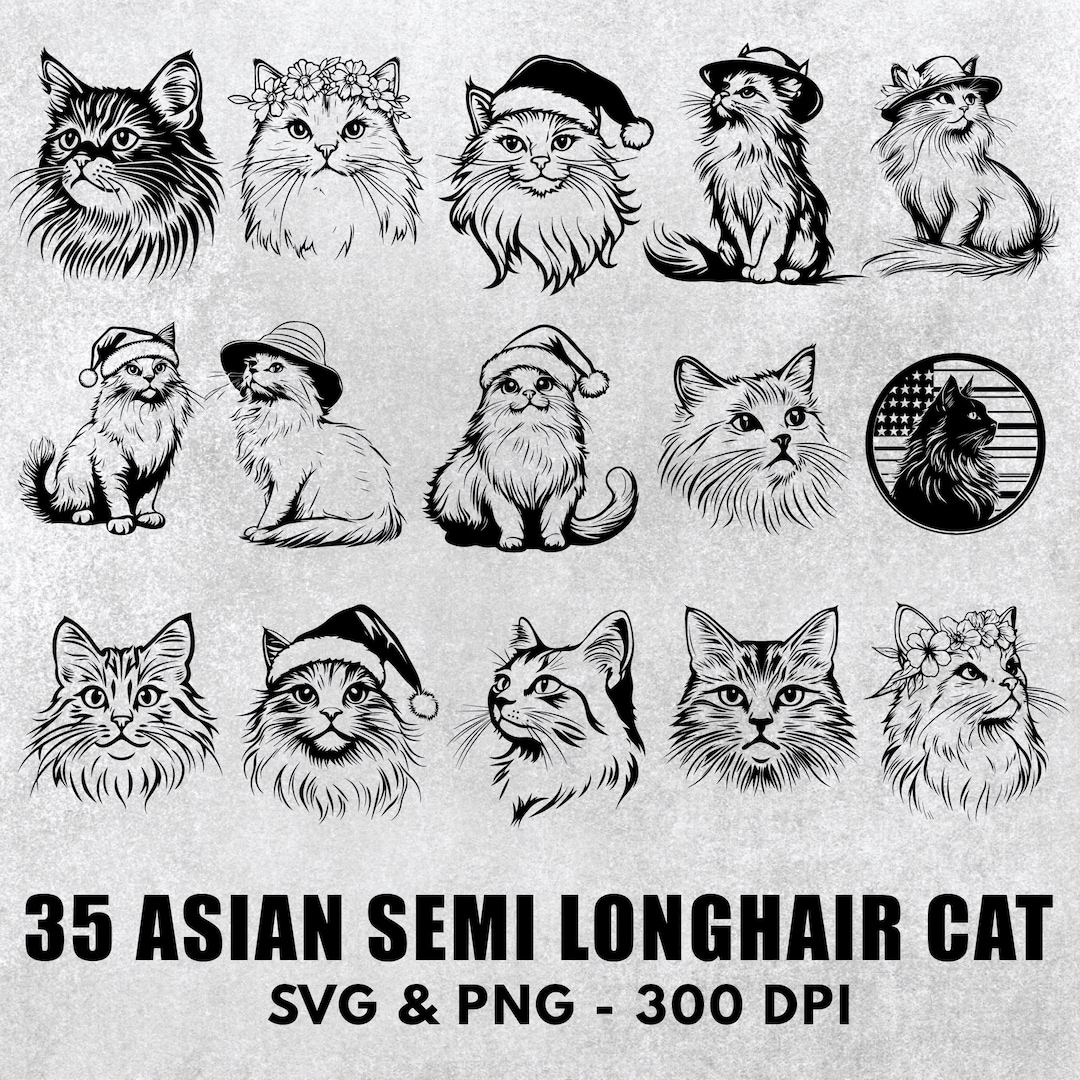 Asian Semi Longhair Cat SVG Bundle: Silhouette Clipart Decal (PNG) - Etsy