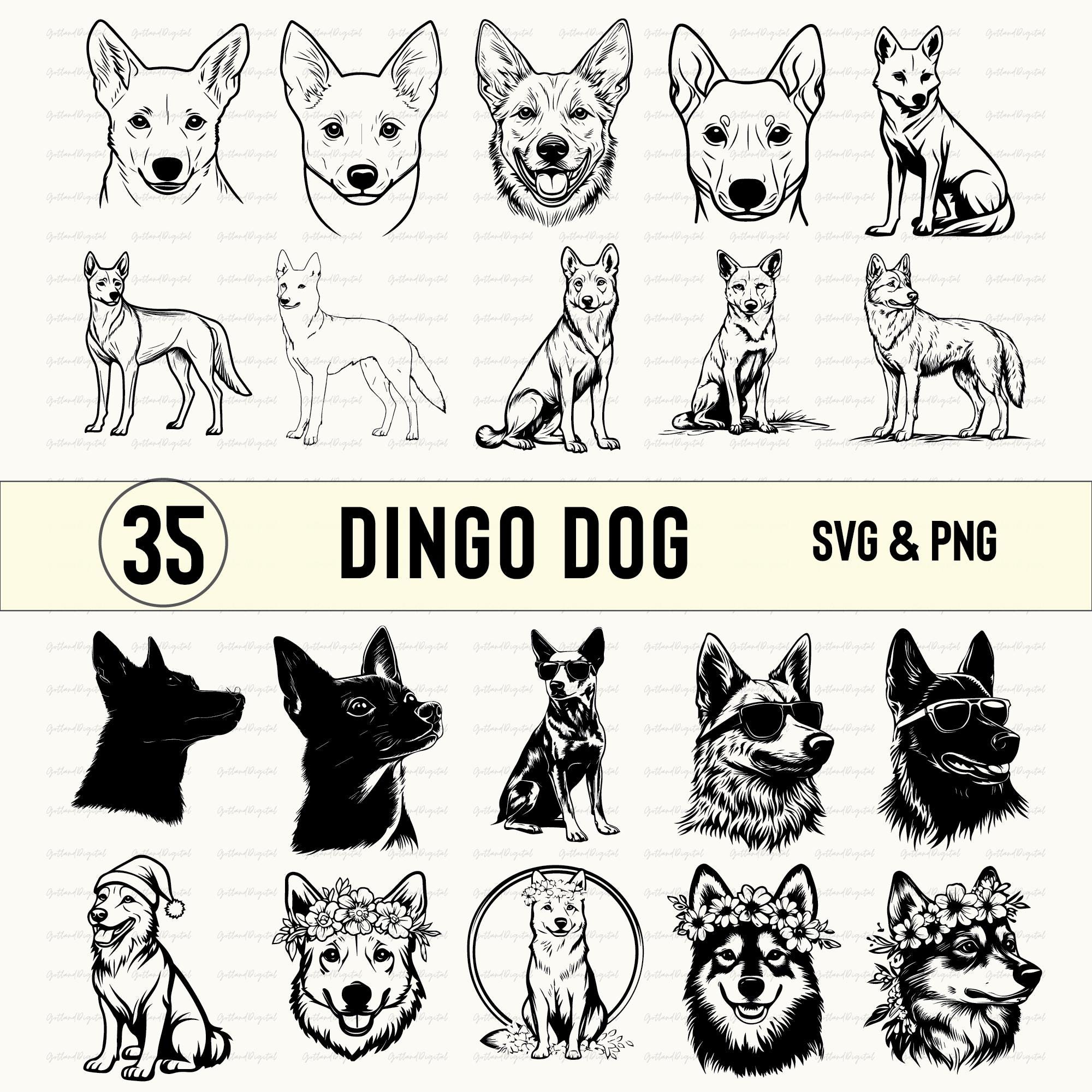 Dingo Dog Silhouette Svg, Dingo Dog Svg Cut Files, Dingo Dog Clipart ...