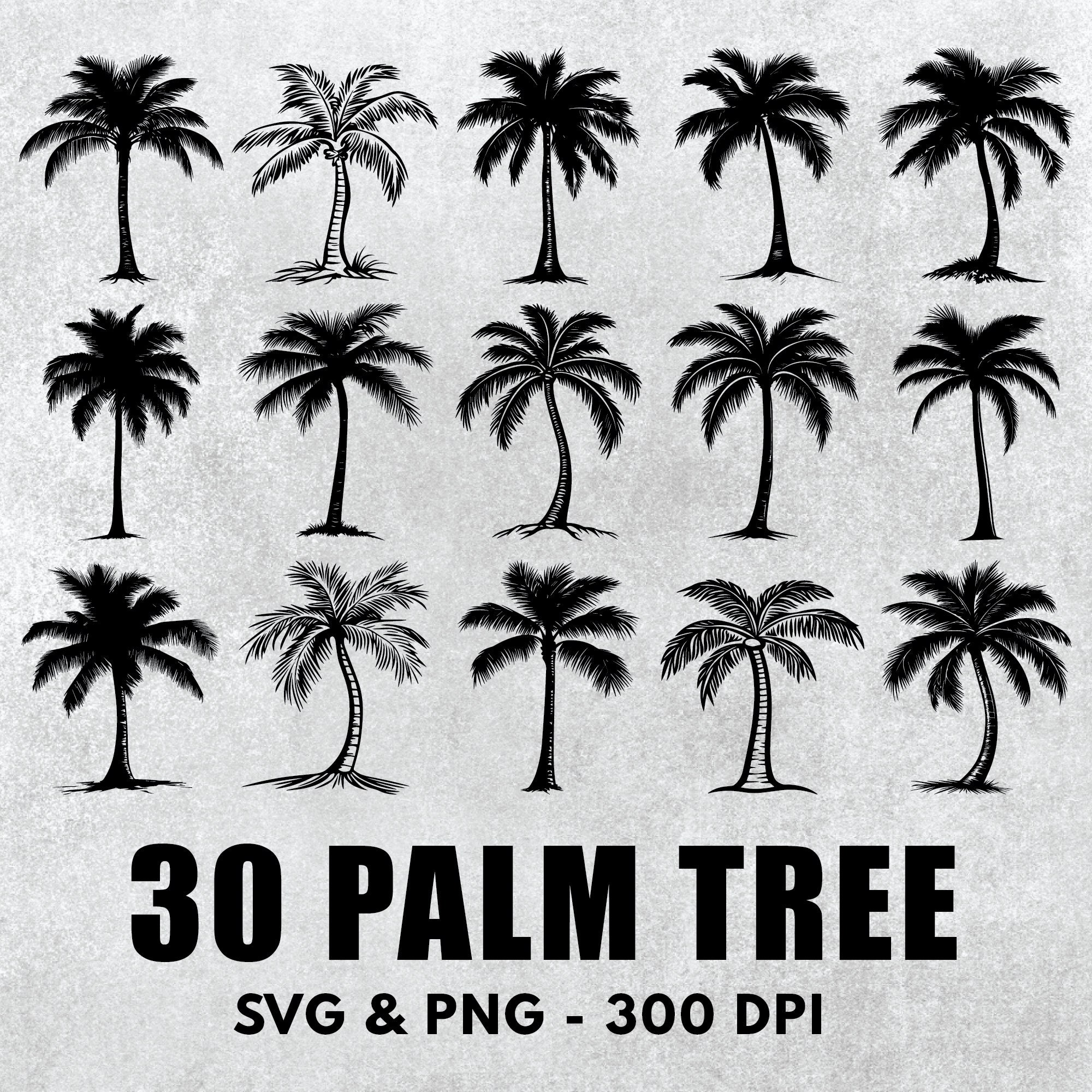 Palm Tree Silhouette Bundle Svg, Palm Tree Svg Vector Set, Palm Tree ...