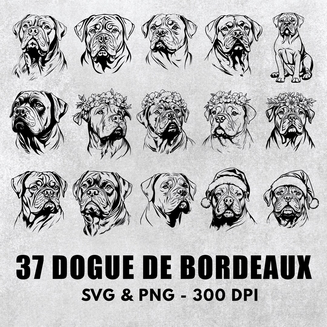 Dogue De Bordeaux Svg Bundle, Dogue De Bordeaux Silhouette Png, Dogue ...